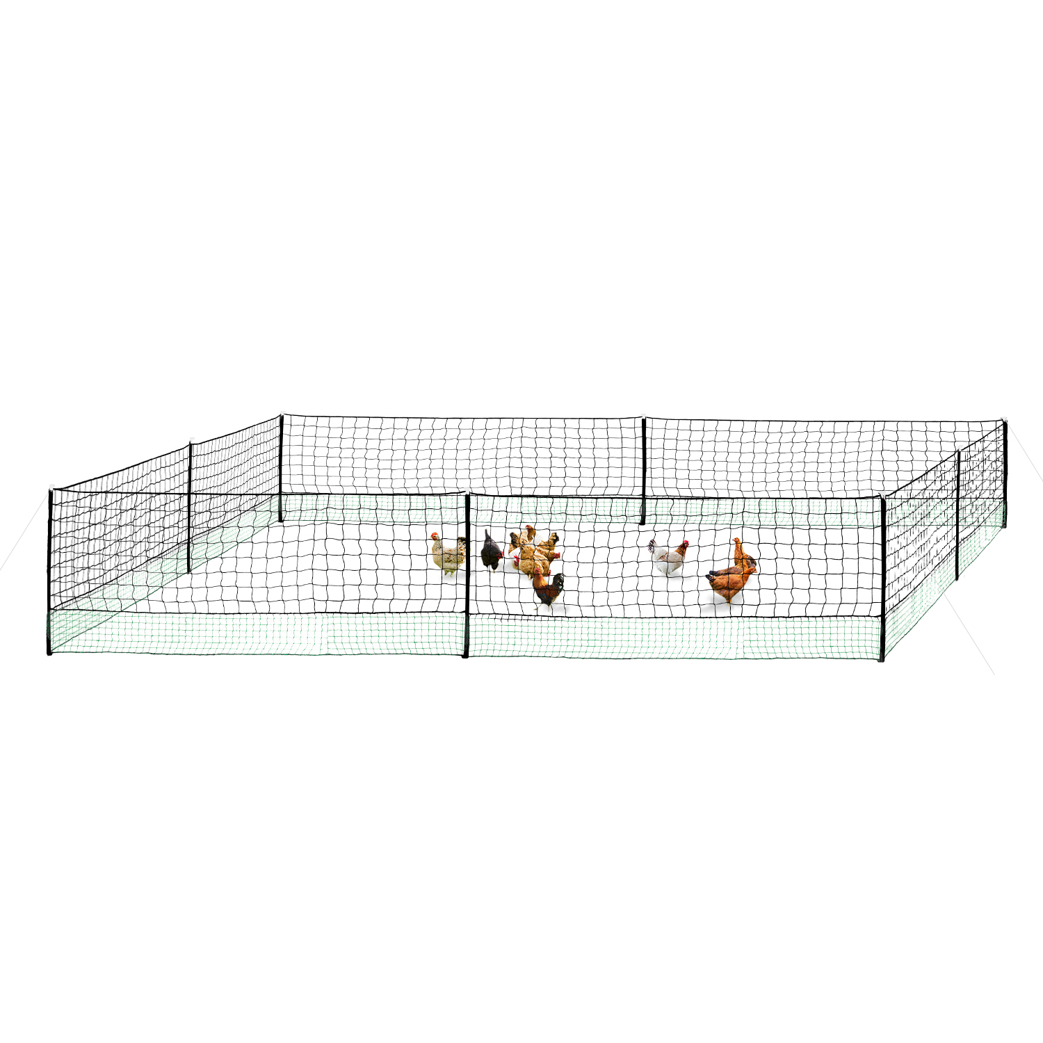 Filet poulailler, clôture pour poules 24m avec 9 piquets | ID Market