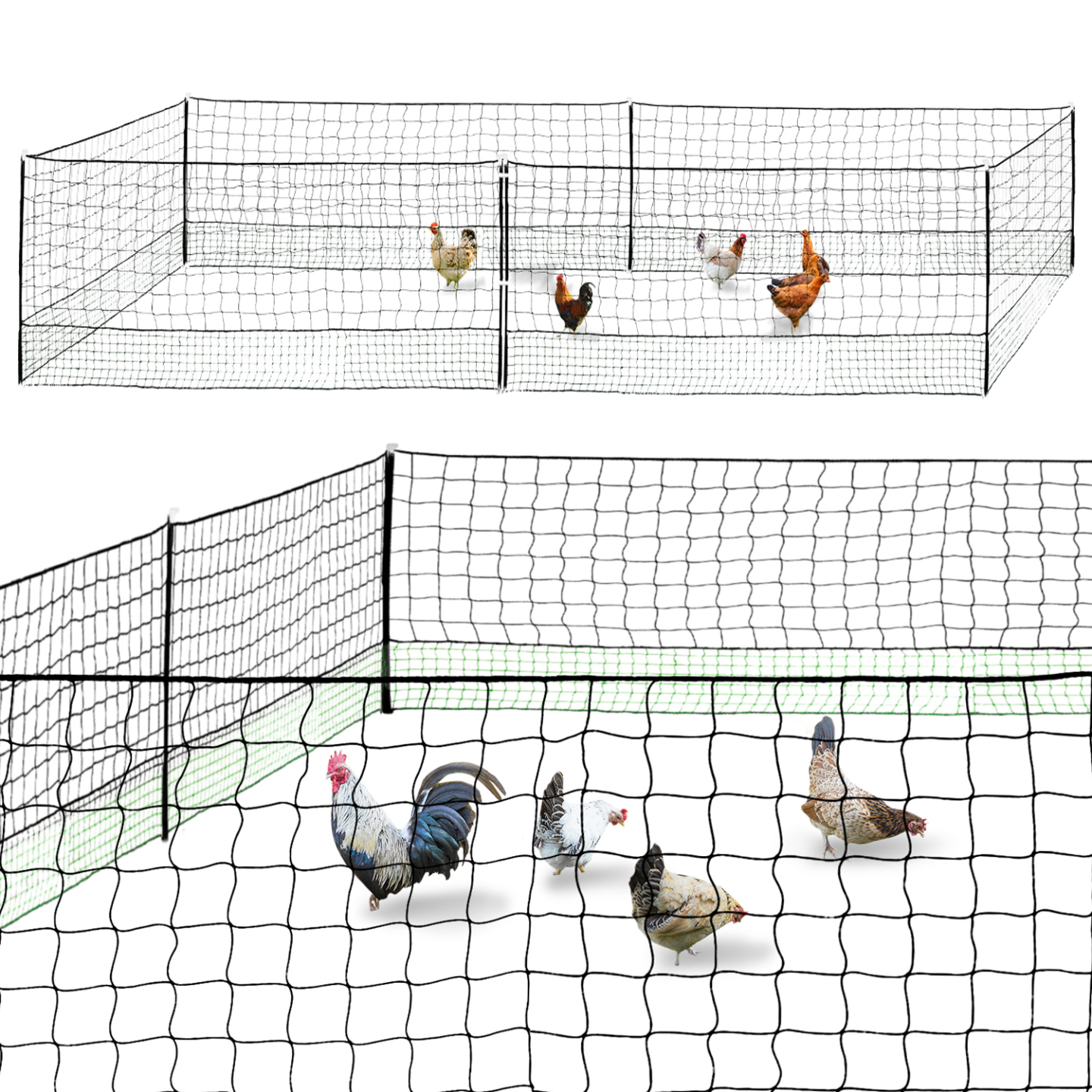 Filet pour poules pas cher 12 m avec porte 6 piquets | ID Market