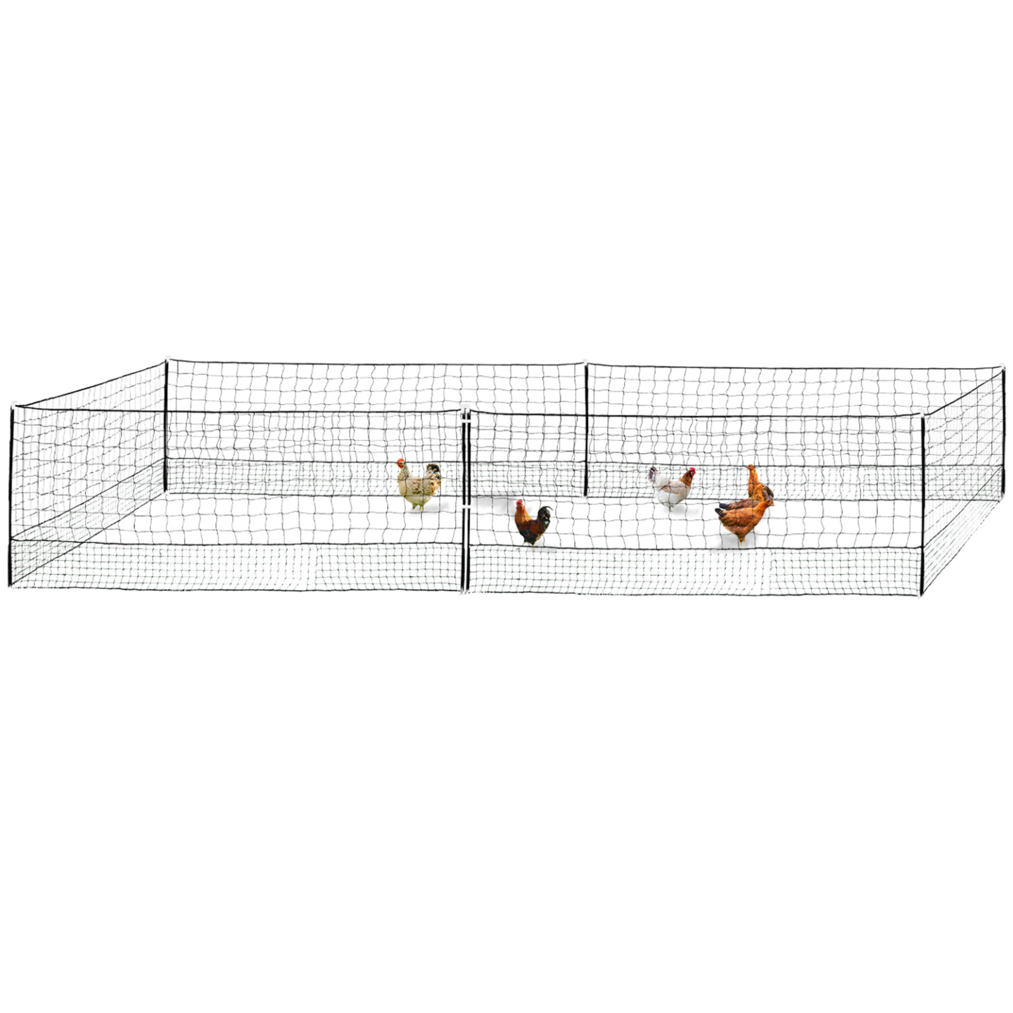 Filet pour poules pas cher 12 m avec porte 6 piquets | ID Market
