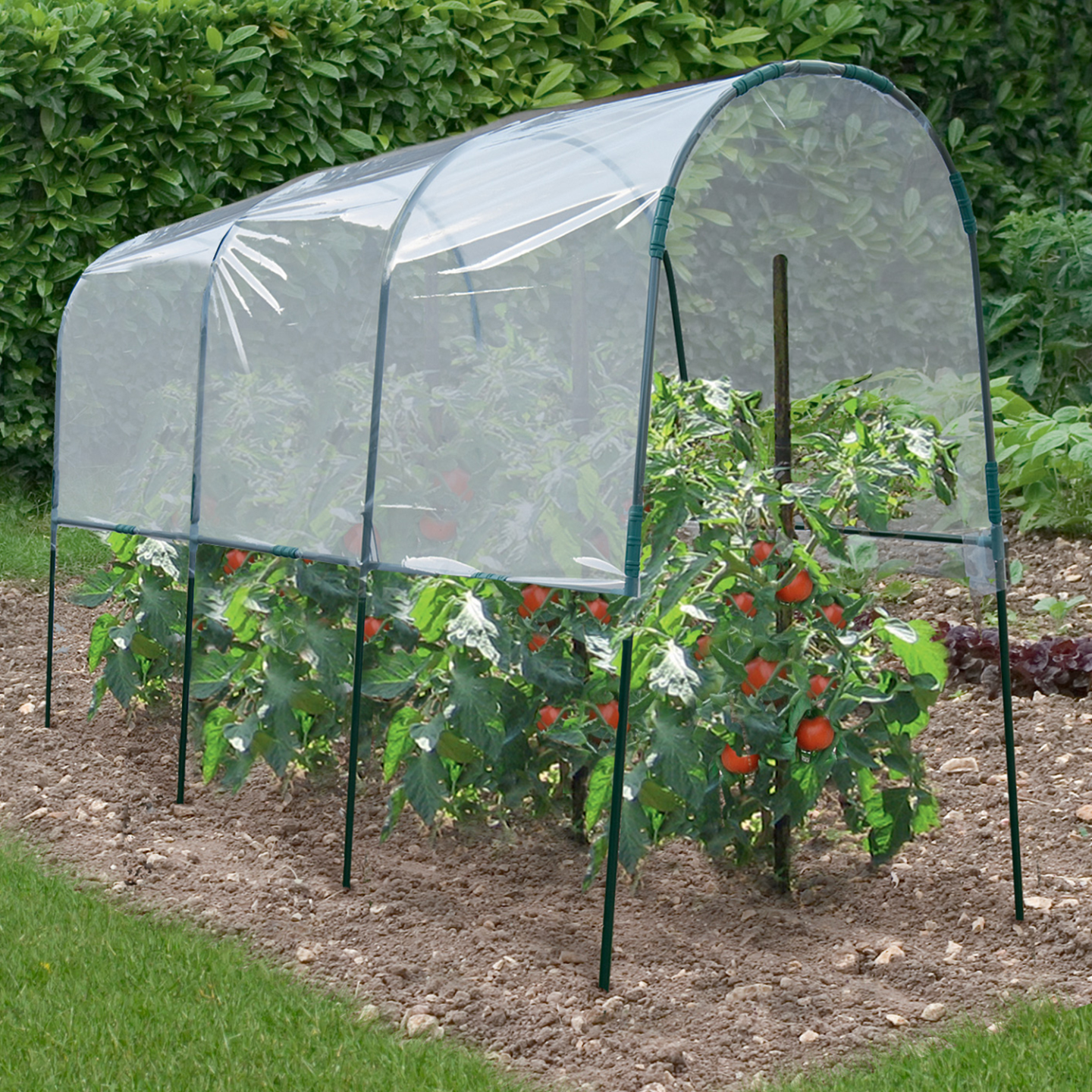 Serre à tomates pas cher 4m 5 arceaux | ID Market