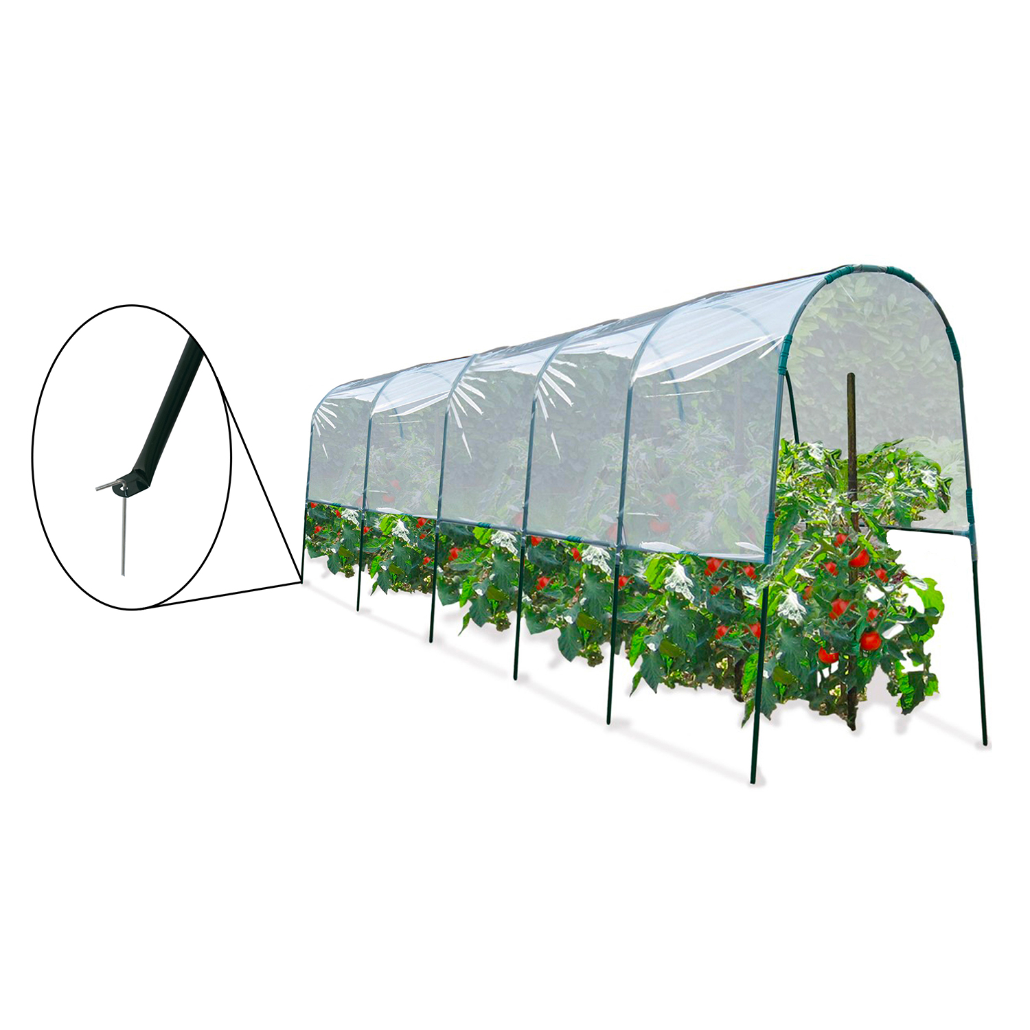 Serre à tomates pas cher 6m 7 arceaux | ID Market